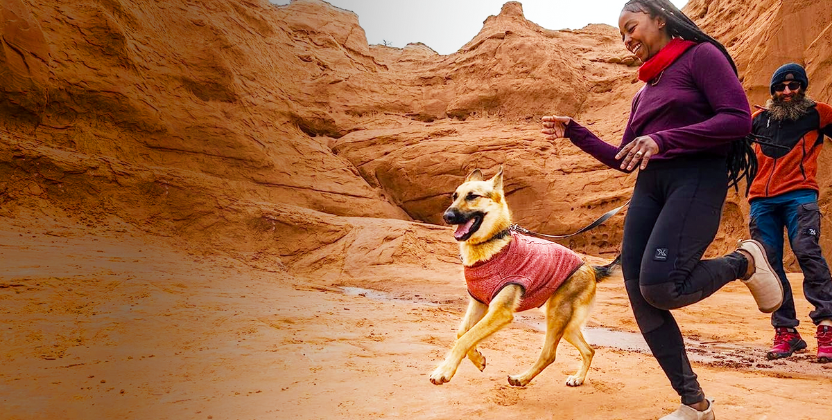 Online Pet Store for Dog Supplies - Waggle Canine Adventure Gear