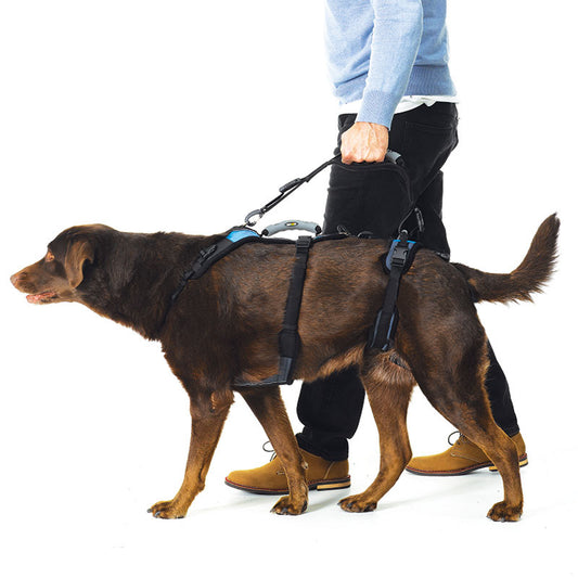 The Help Em Up Dog Lifting Harness