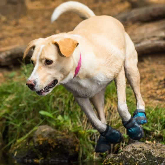 Grip Trex Dog Boots | Durable All-Terrain Paw Protection | Ruffwear
