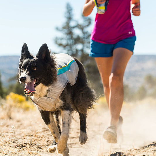 Ruff Wear Swamp Cooler | Dog Cooling Vest