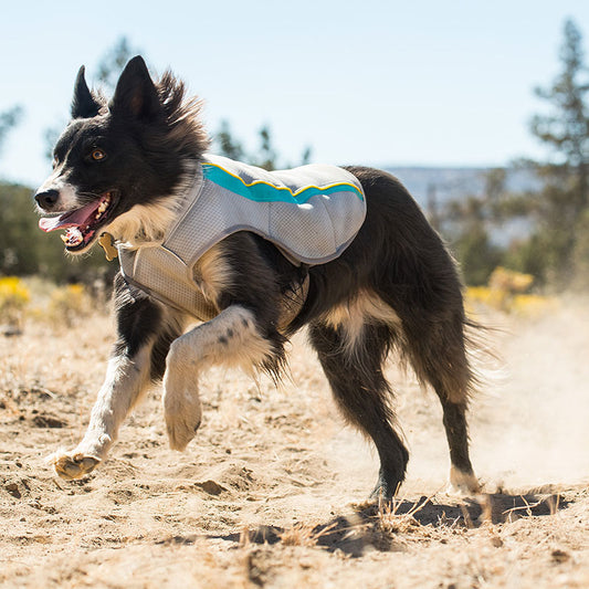 Ruff Wear Swamp Cooler | Dog Cooling Vest