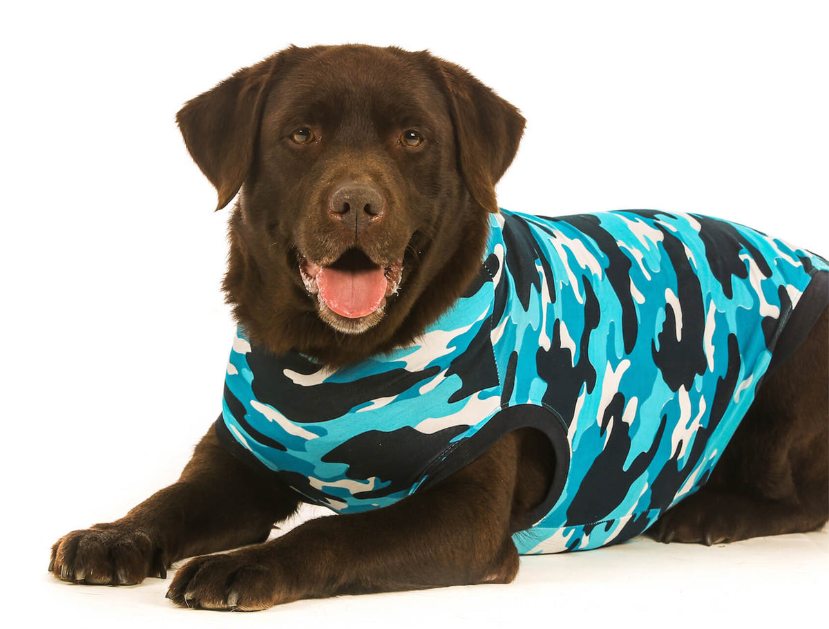 Suitical Recovery Suit for Dogs