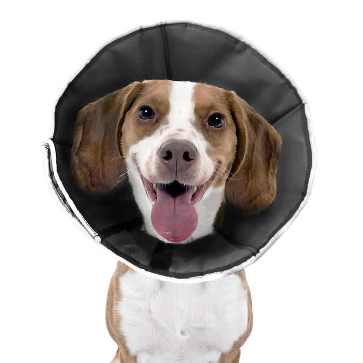 The ProCone is a safe, soft canine recovery collar.