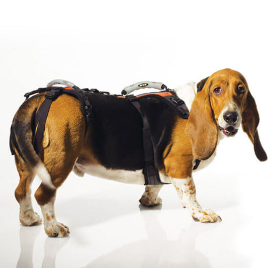 The Help Em Up Dog Lifting Harness