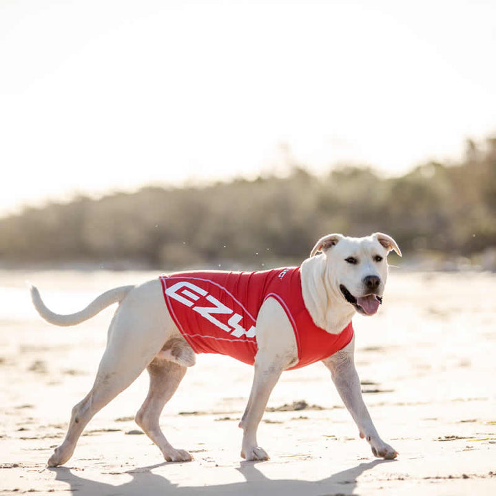 Dog Life Jackets Vests | Waggle Australia
