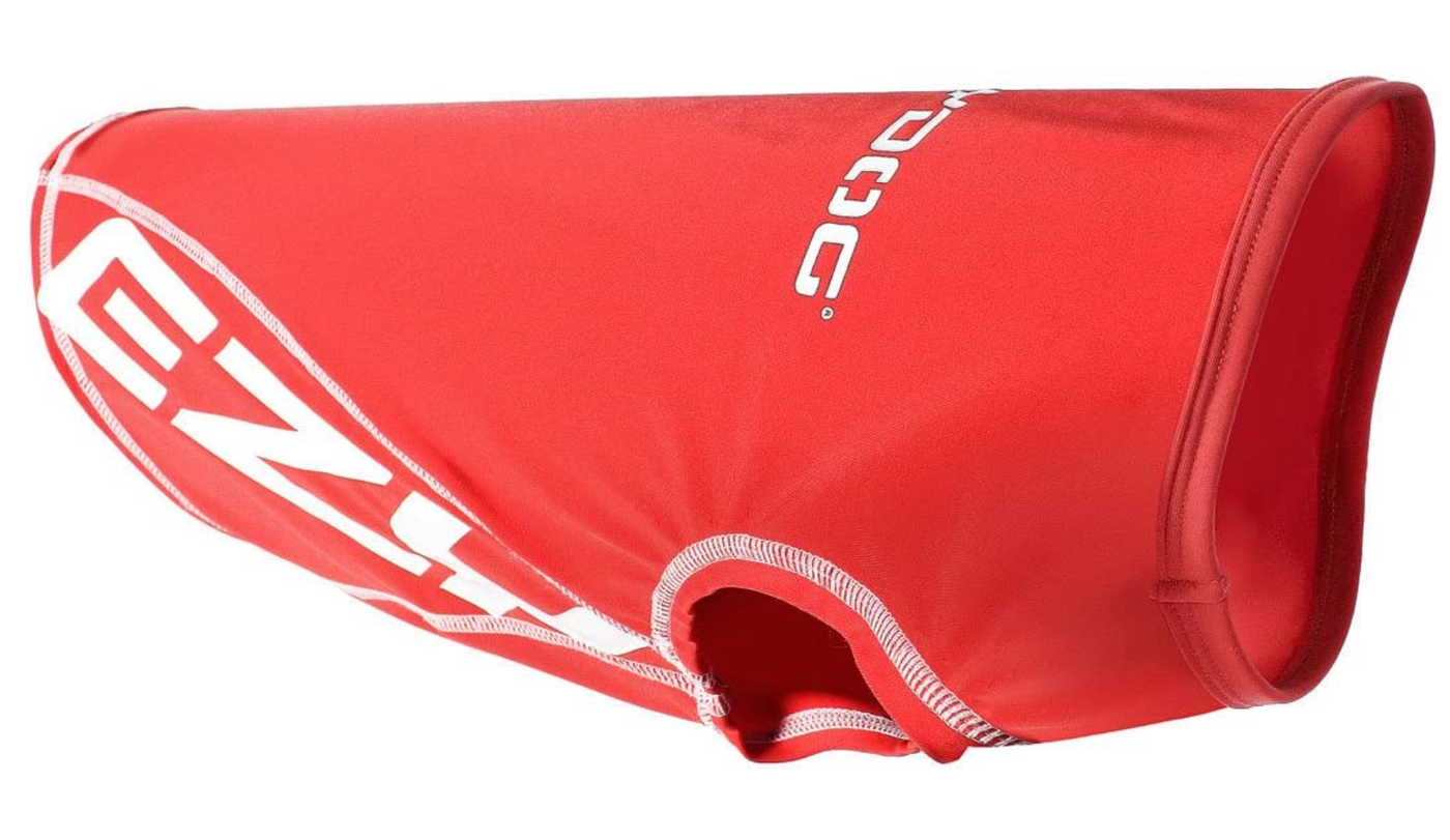 Camping With Dogs | Waggle Australia