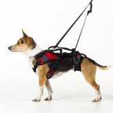 The Help Em Up Dog Lifting Harness
